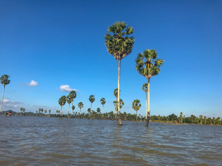 Le lac Tempe - Backpacker du Dimanche